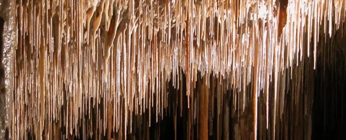 Las cuevas Fosse de Australia pueden ser 500.000 años más antiguas de ...